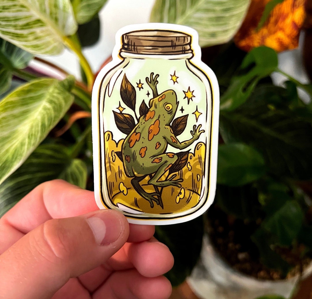 Frog Jar Sticker // Vinyl Sticker Waterproof Sticker - Etsy