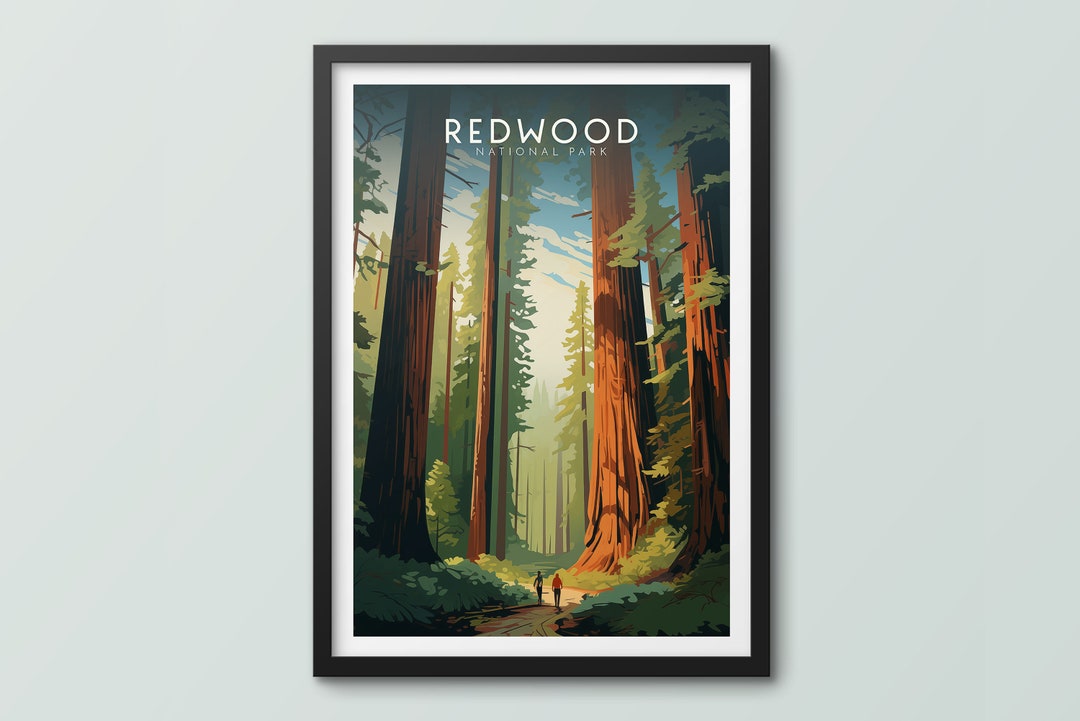 Redwood National Park Travel Poster Wall Art Print Redwood Poster ...