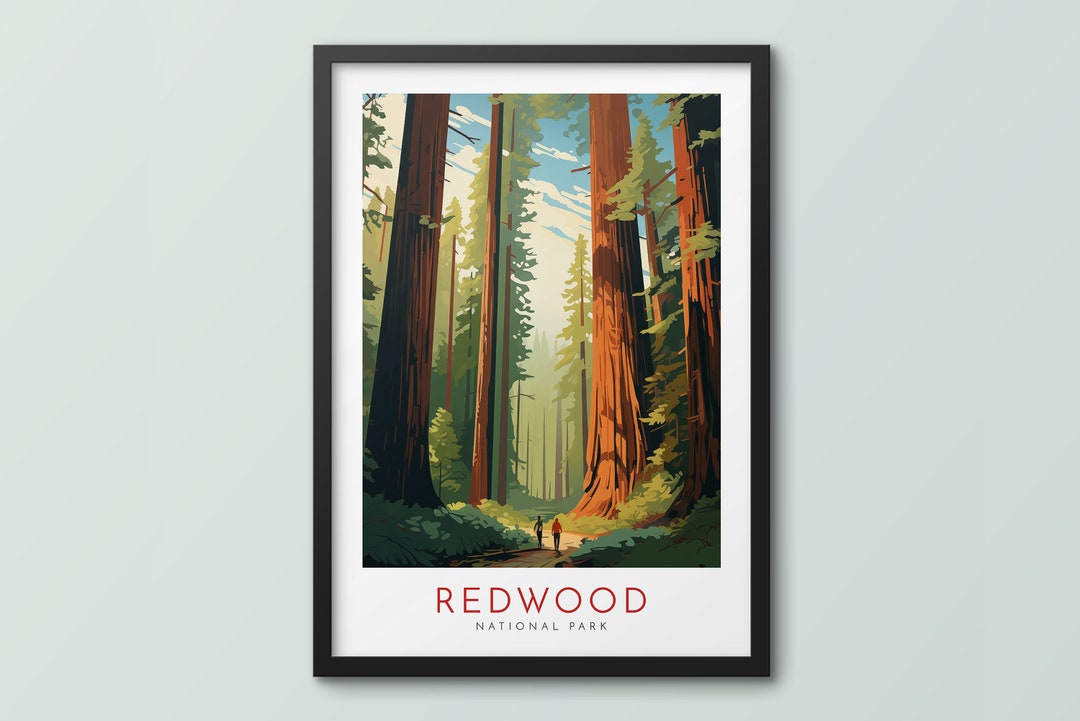 Redwood National Park Travel Poster Wall Art Print Redwood Poster ...