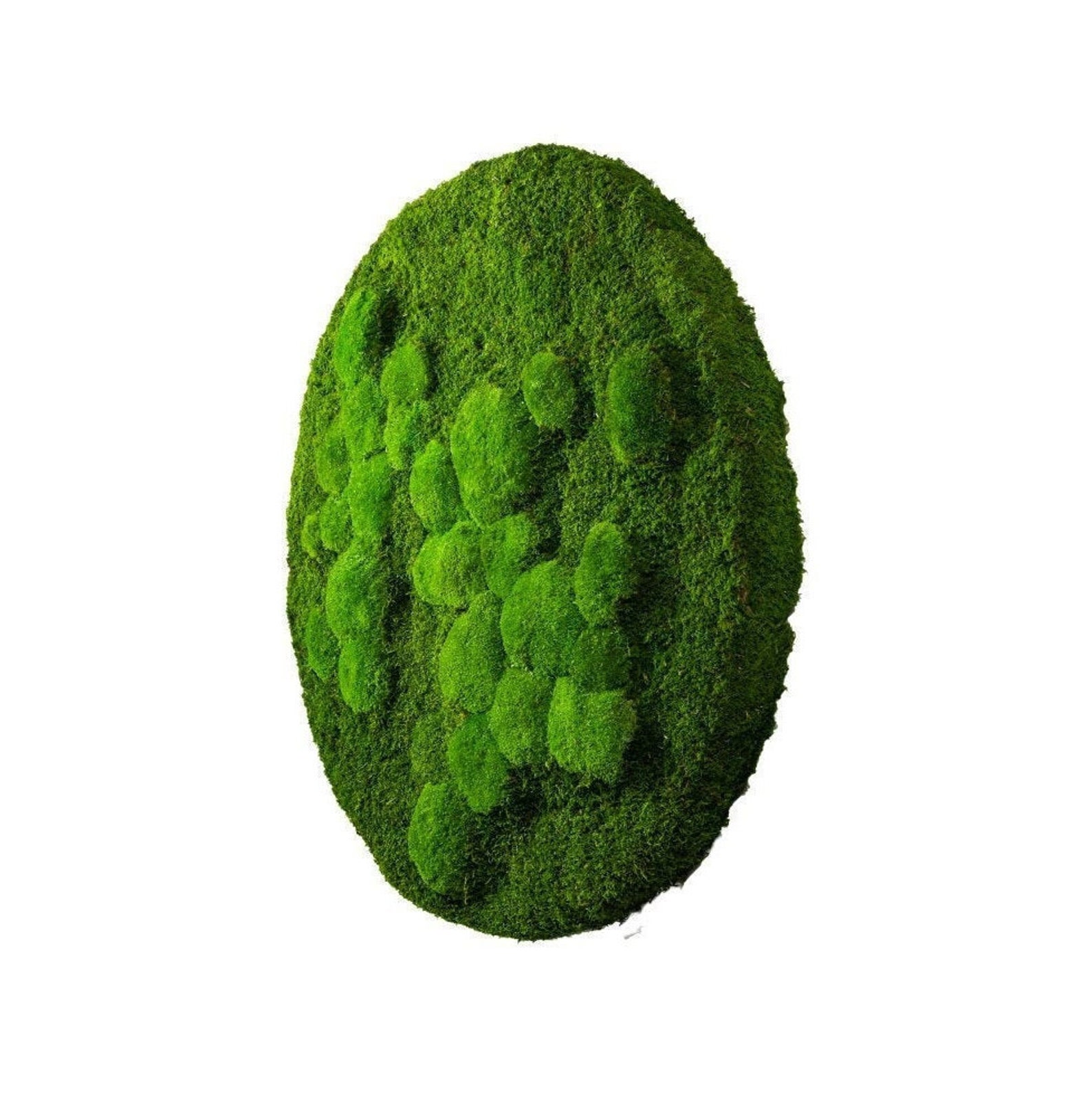 Round Moss Picture With Ball and Flat Moss - Etsy