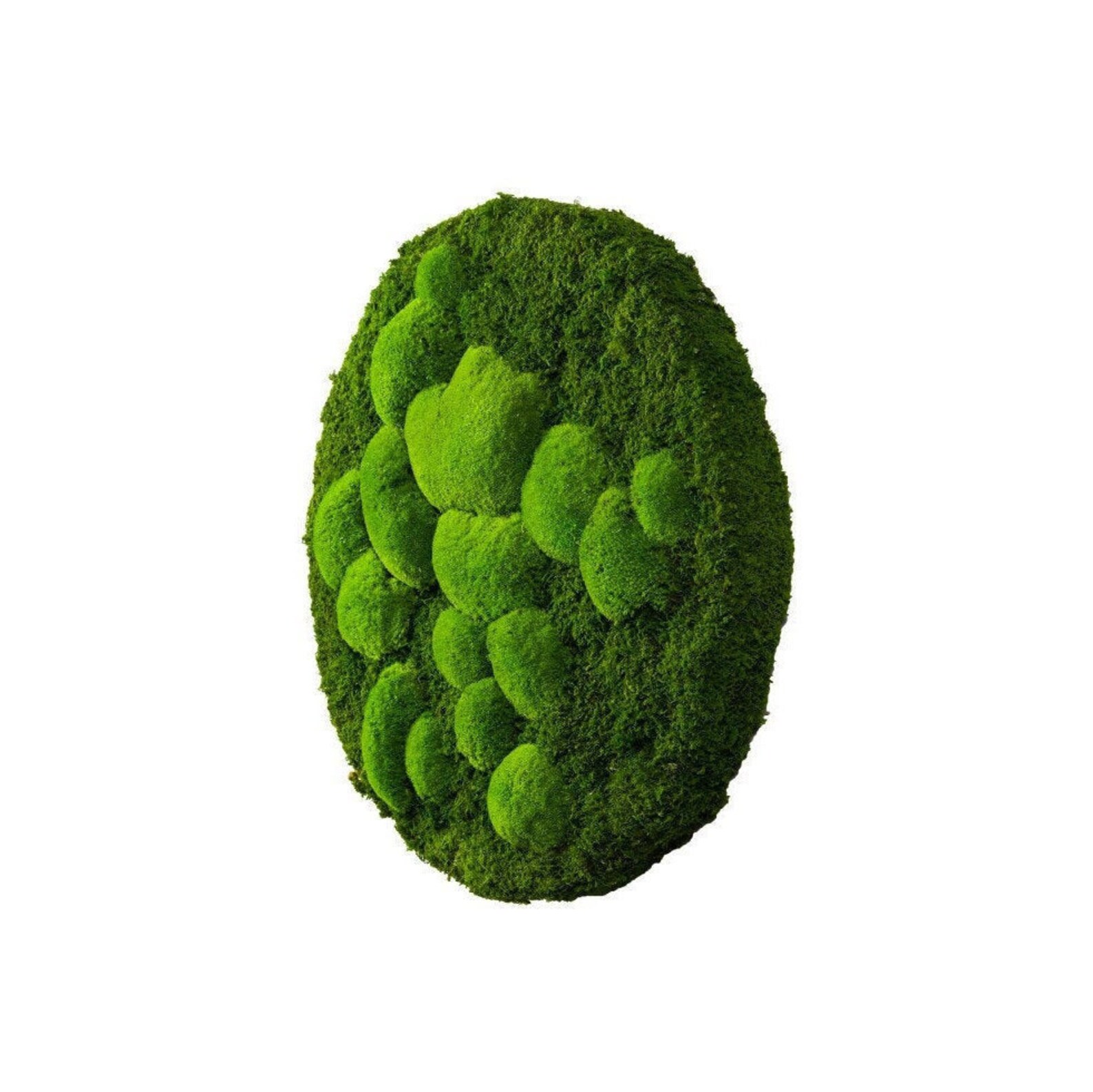 Round Moss Picture With Ball and Flat Moss - Etsy