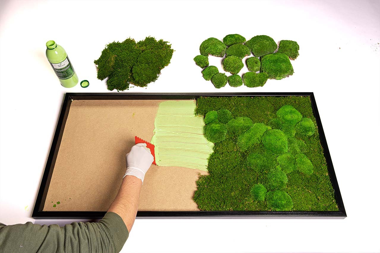 DIY Moosbild mit Kugelmoos und Waldmoos Vollholzrahmen | Etsy