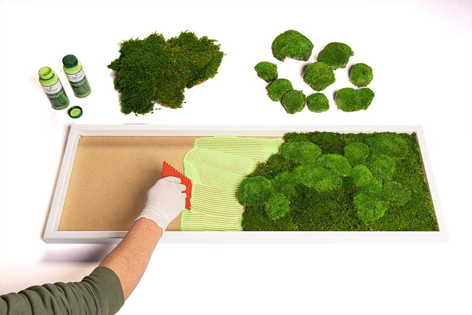 DIY Moosbild mit Kugelmoos und Waldmoos, weißen Rahmen - Etsy Schweiz