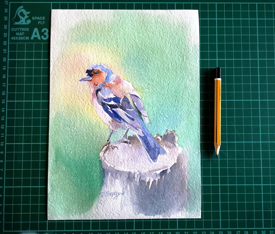 Chaffinch Painting Original Watercolour, Garden Bird Chaffinch Painting ...