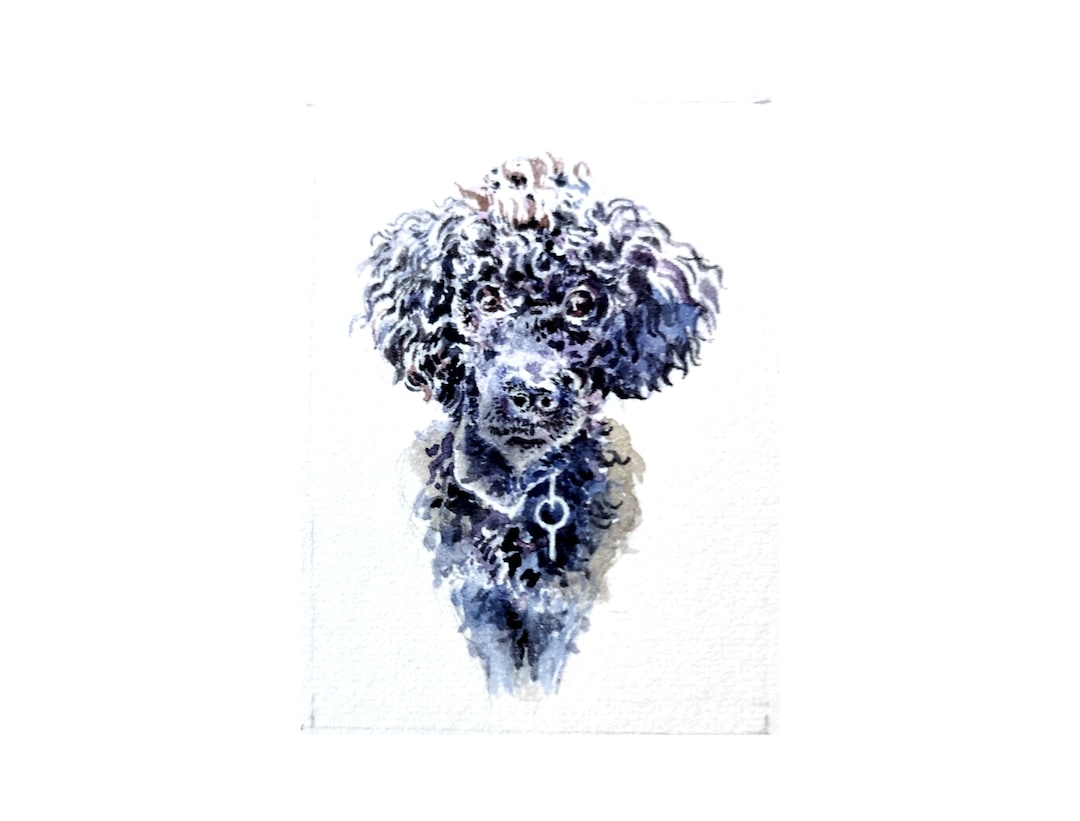 Black Poodle Dog Handmade Miniature Portrait From Photo, Original Tiny ...