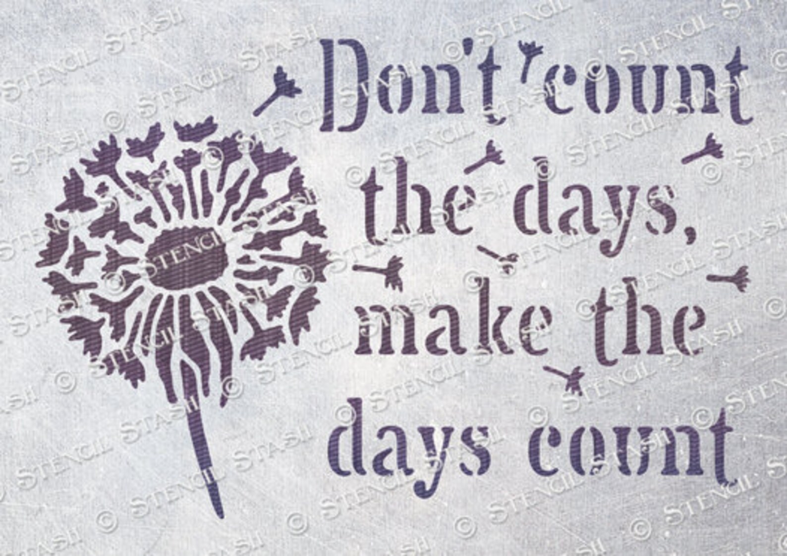 STENCIL 'don't Count the Days' Inspirational Quote, Signs Furniture ...