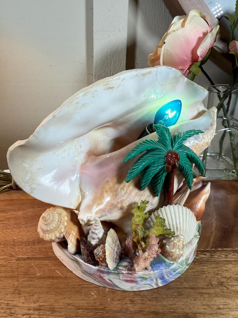 Vintage, Light Up, Sea Shell, Conch Shell, Night Light, 9 Inch, 1960's ...