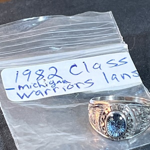 Vintage, 1982, Michigan, Warriors, High School, Ladies, Designer ...