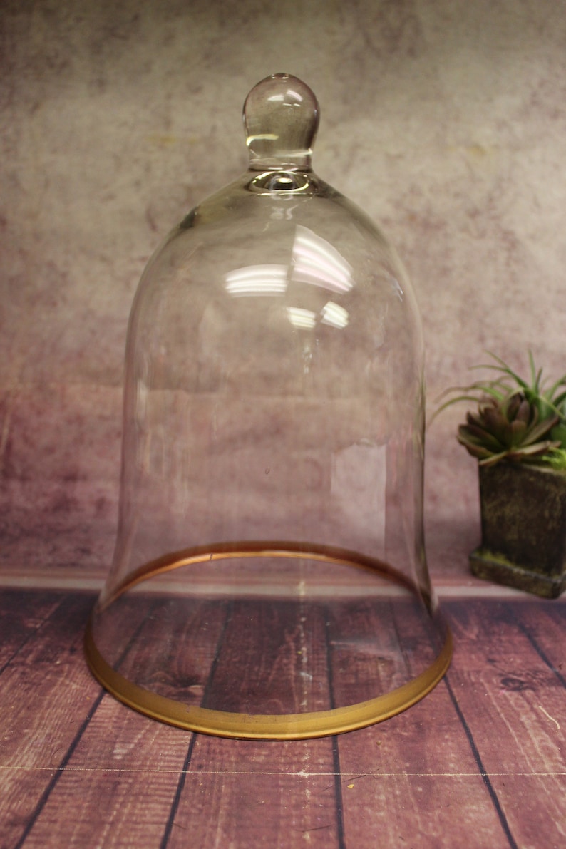 Vintage Large Glass Bell Shape Dome With Rattan Tray & Floral | Etsy