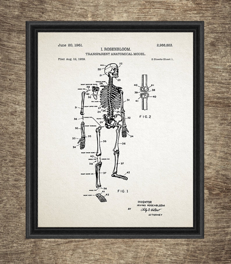Anatomy Art Set Of 4 Printables Hospital Wall Art Prints | Etsy