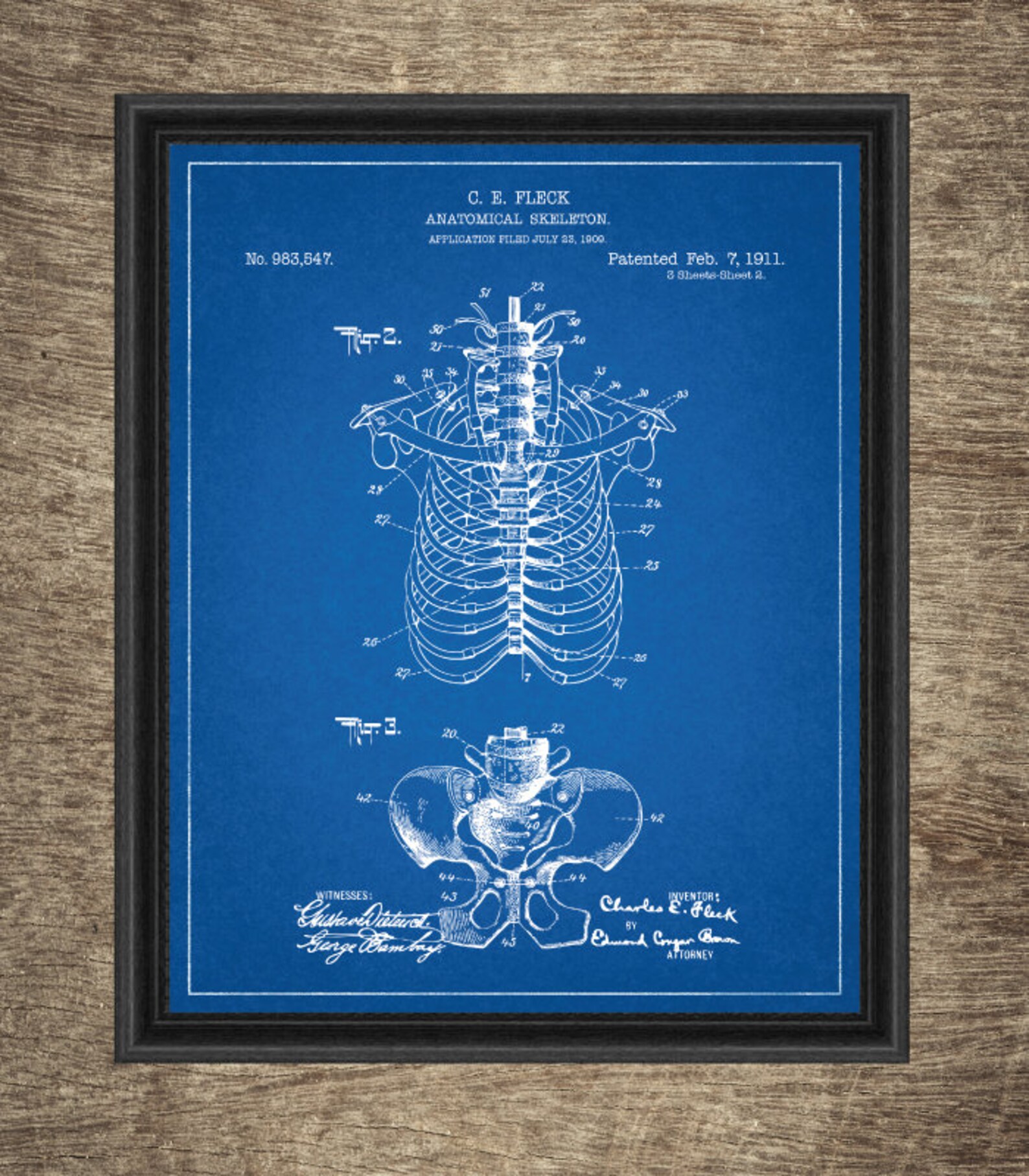 Human Anatomy Blueprint Poster Nursery Wall Decor Poster - Etsy