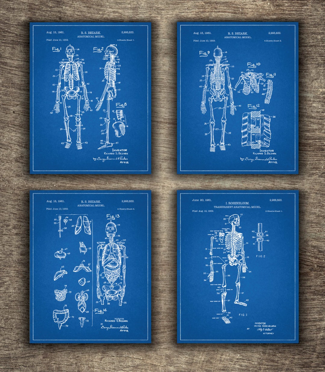 Printable Human Anatomy Art Set of 4 Blueprints, Doctor Wall Art Decor ...