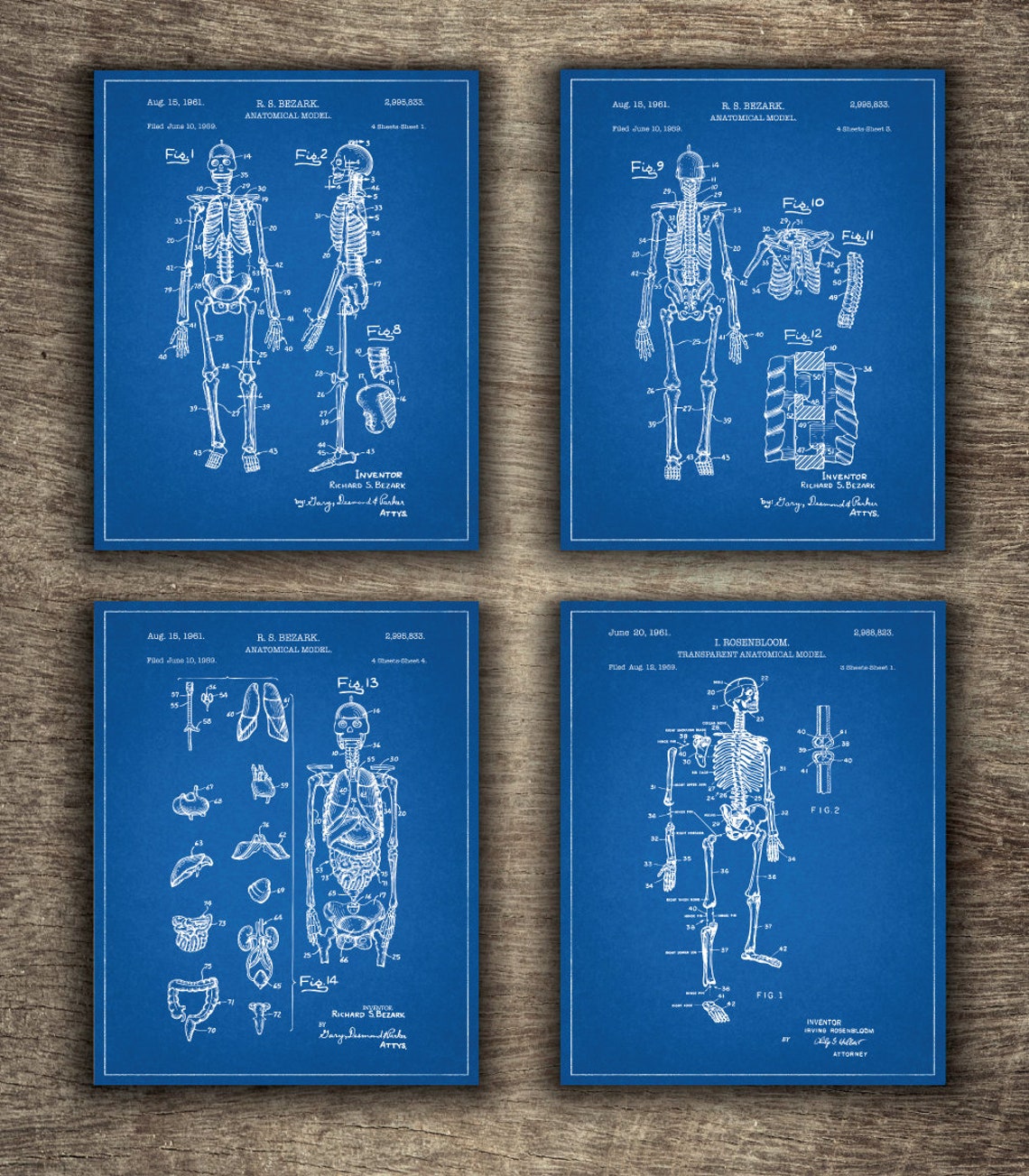 Printable Human Anatomy Art Set of 4 Blueprints Doctor Wall | Etsy