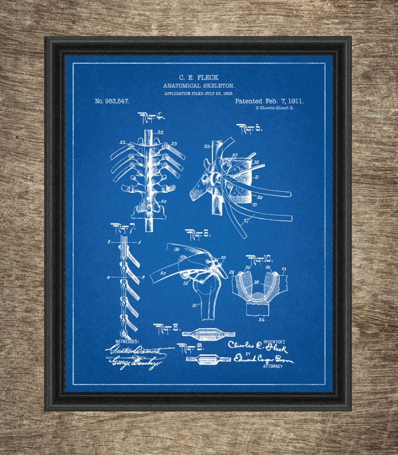 Human Anatomy Blueprint Poster Nursery Wall Decor Poster | Etsy