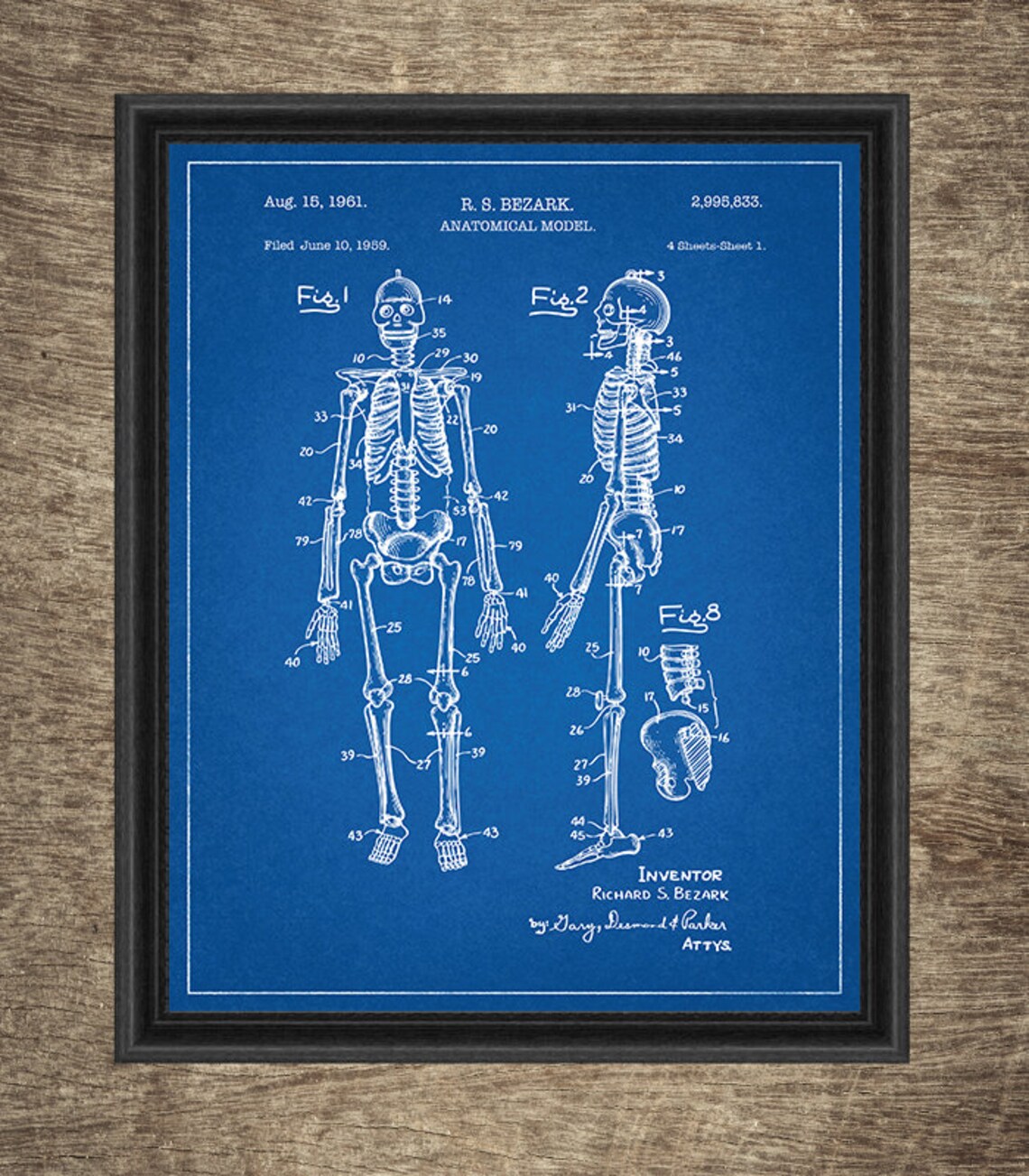 Printable Human Anatomy Art Set of 4 Blueprints Doctor Wall | Etsy