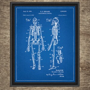 Printable Human Anatomy Art Set of 4 Blueprints, Doctor Wall Art Decor ...