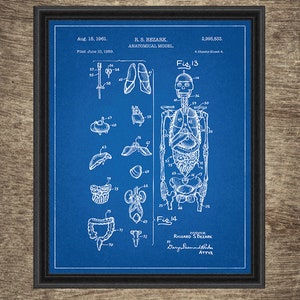 Printable Human Anatomy Art Set of 4 Blueprints, Doctor Wall Art Decor ...