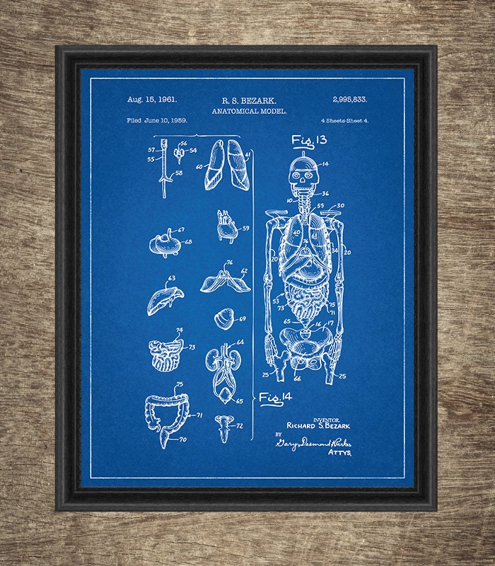 Printable Human Anatomy Art Set of 4 Blueprints Doctor Wall - Etsy