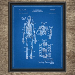 Printable Human Anatomy Art Set of 4 Blueprints, Doctor Wall Art Decor ...
