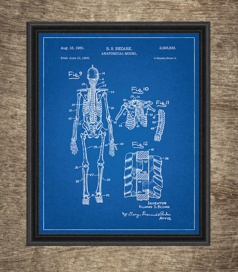 Printable Human Anatomy Art Set of 4 Blueprints Doctor Wall - Etsy