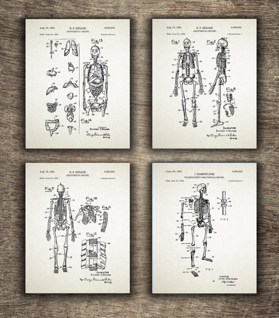 Anatomy Art Set of 4 Printables, Hospital Wall Art Prints, Medical ...