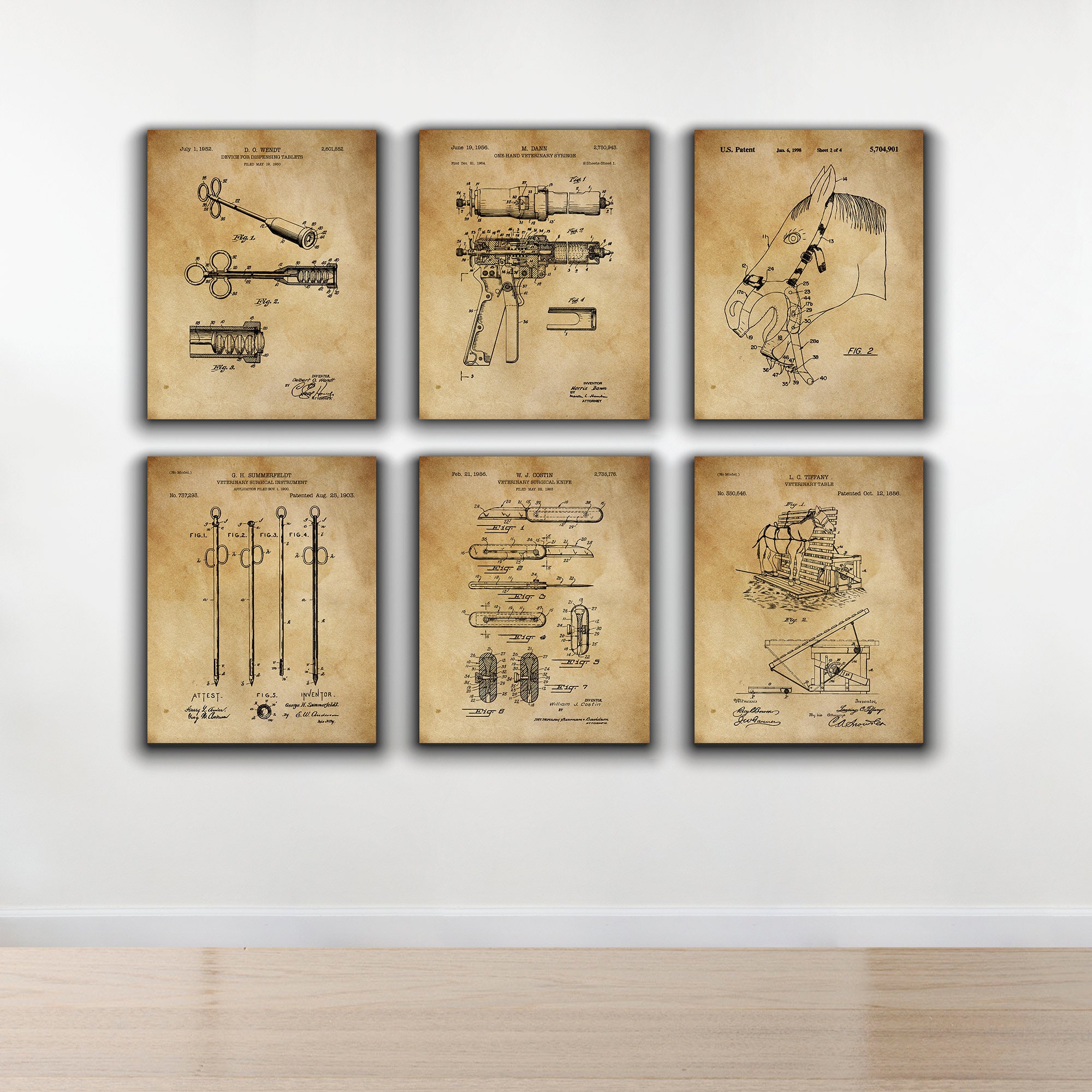 Veterinary Surgical Instrument Set of 6 Designs Vet Office | Etsy