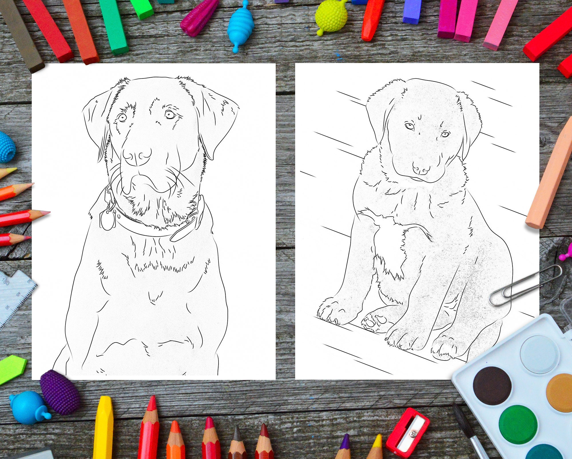 Lovely Labradors Dog Coloring Book 42 Labrador Dogs Coloring - Etsy New ...