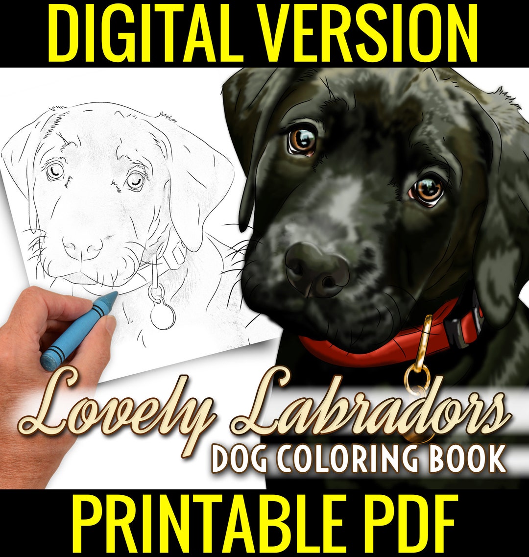 Lovely Labradors Dog Coloring Book 42 Labrador Dogs Coloring Pages for ...