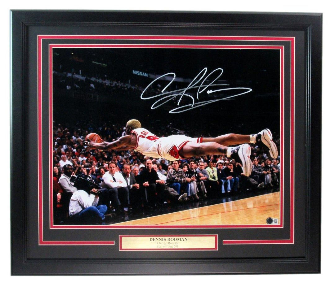 Dennis Rodman HOF Signed/autographed 16x20 Photo Chicago Bulls Framed ...