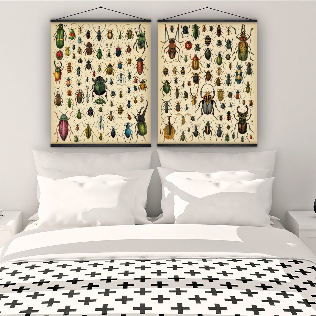 Bugs insects beetles wall hanging pull down chart Spain | Etsy