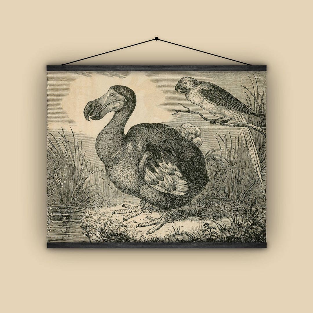 Dodo, Bird, Wall Hanging, Banner, Chart, Home Decor, Natural History ...