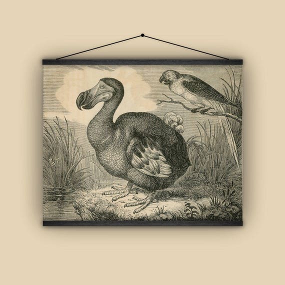 Dodo Bird Wall Hanging Banner Chart Home Decor Natural - Etsy