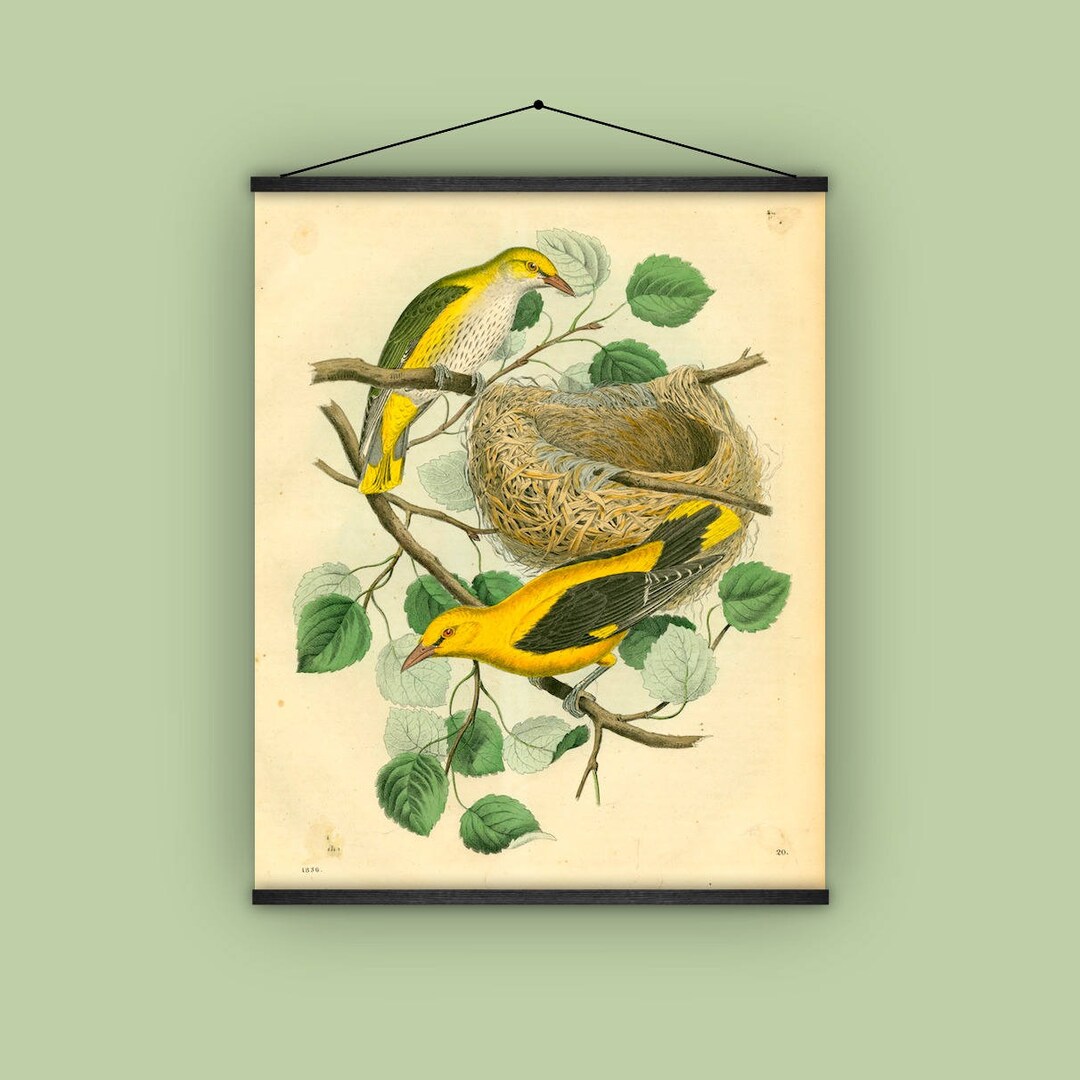Birds, Nest, Tree Branch, Gift for Bird Lover, Wall Hanging, 1850s ...