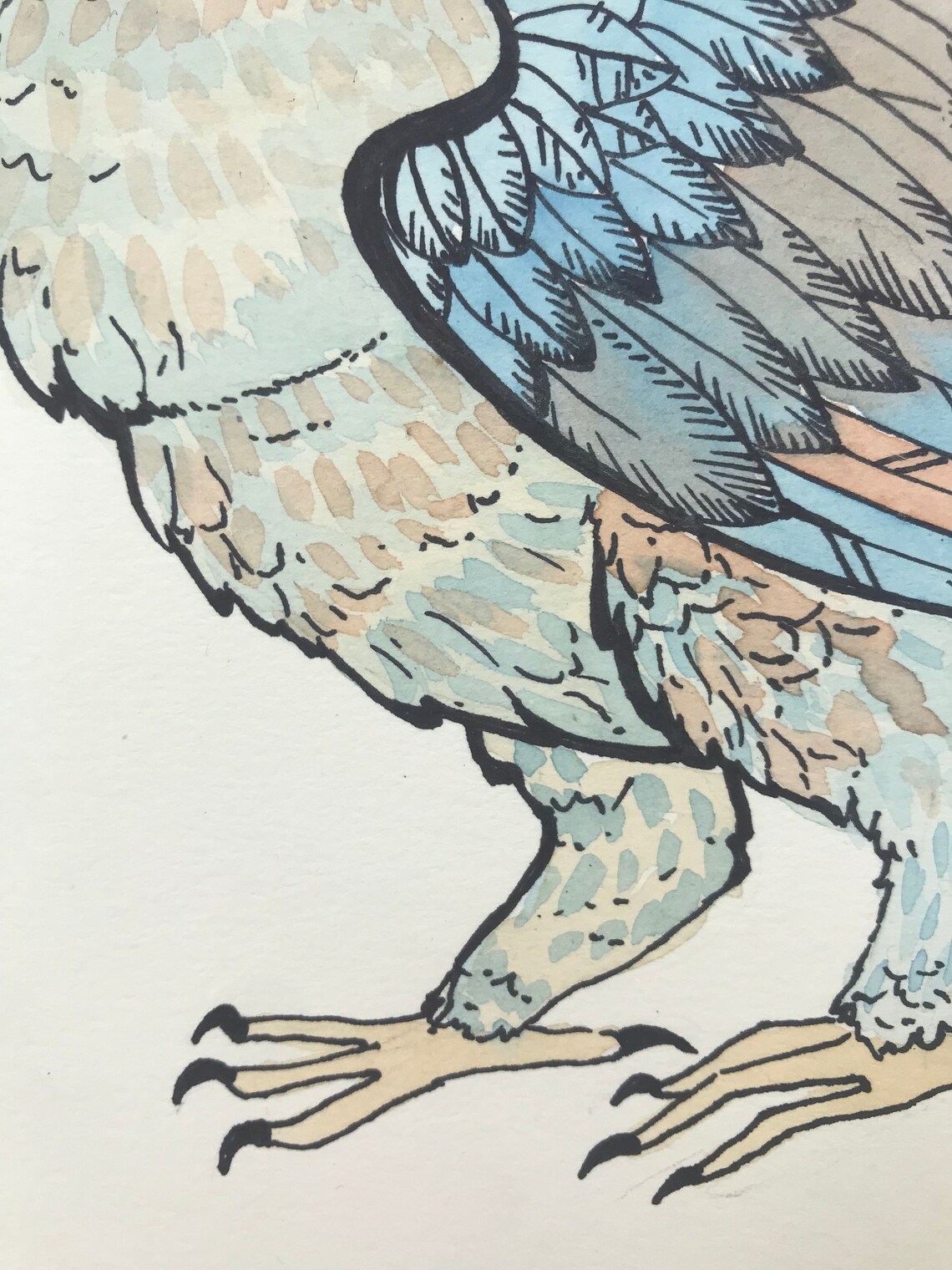 Do Do Bird- ORIGINAL Illustration on Artboard - Etsy