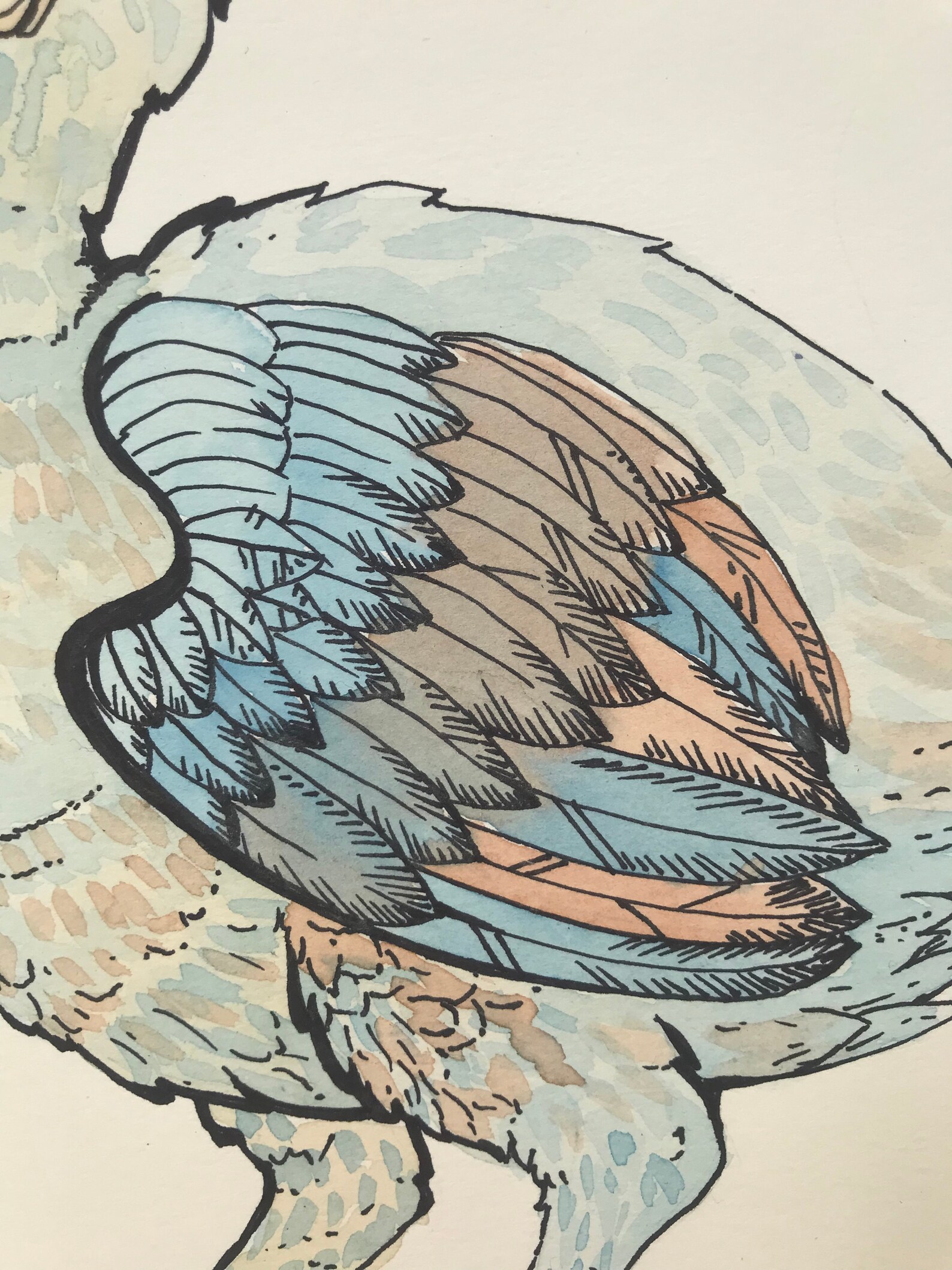Do Do Bird- ORIGINAL Illustration on Artboard - Etsy