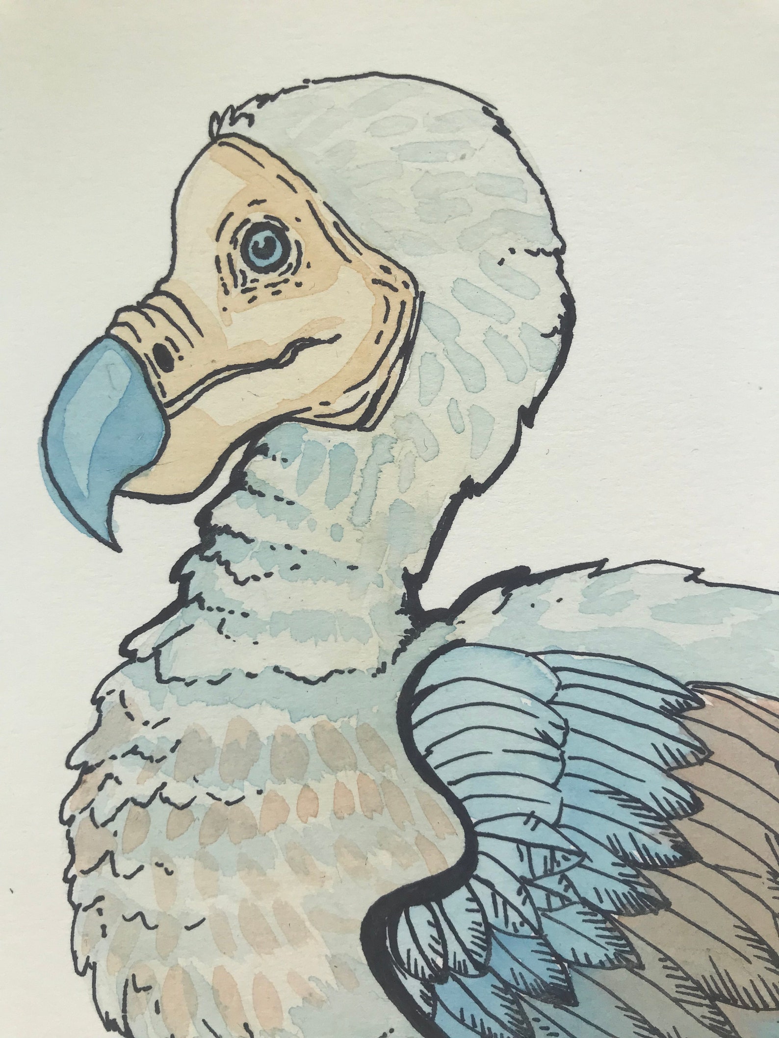 Do Do Bird- ORIGINAL Illustration on Artboard - Etsy