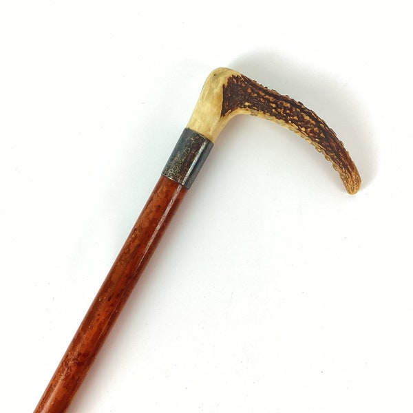 Antique Cane - Etsy