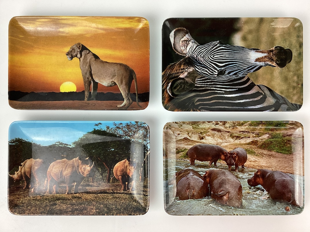 Set of 4 African Savanna Animals Trays, Small Serving Trays Featuring a ...