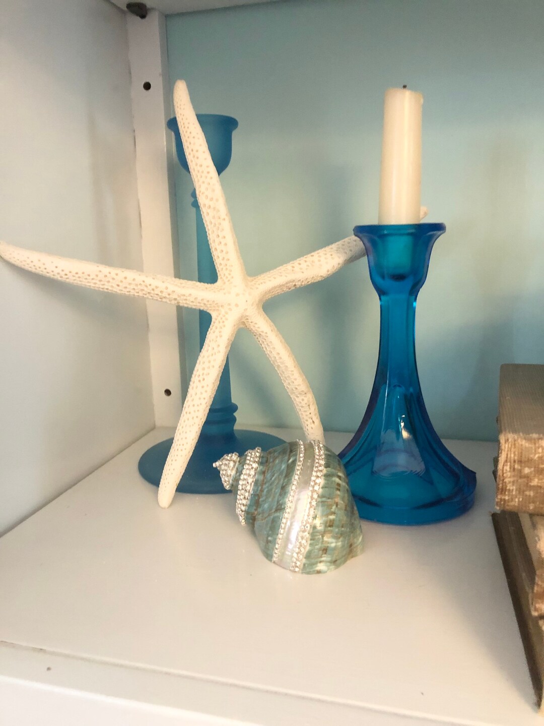 Large White Finger Starfish (8-9") Individual, Set of Three, Set of ...