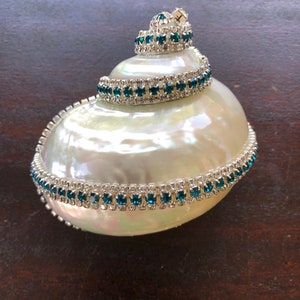 Polished Turbo Shell or Trochus Shell, Embellished With Rhinestone ...