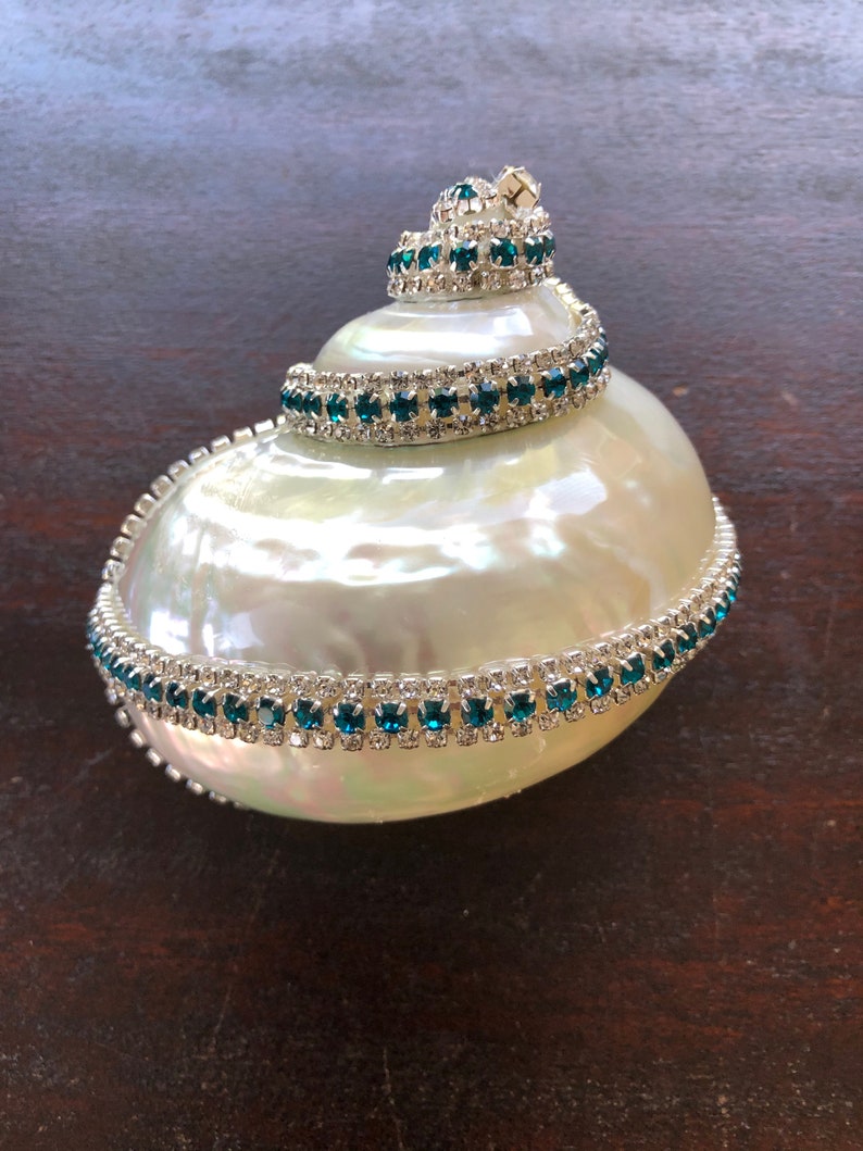 Polished Turbo Shell or Trochus Shell, Embellished With Rhinestone ...