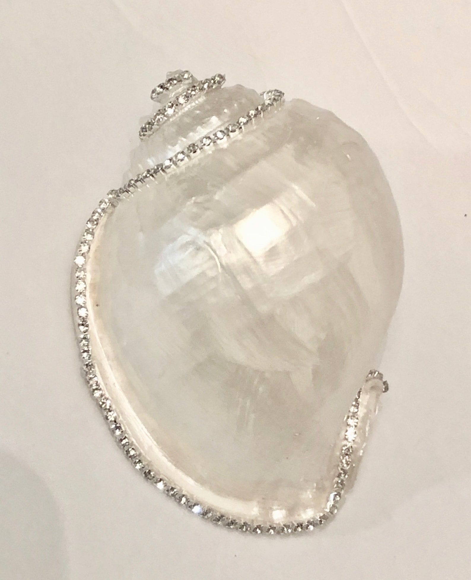 Scotch Bonnet Pearlized Embellished Shell Perfect Coastal - Etsy