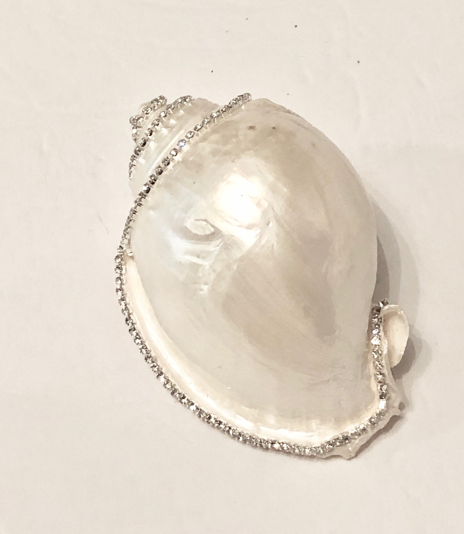 Scotch Bonnet Pearlized Embellished Shell Perfect Coastal - Etsy