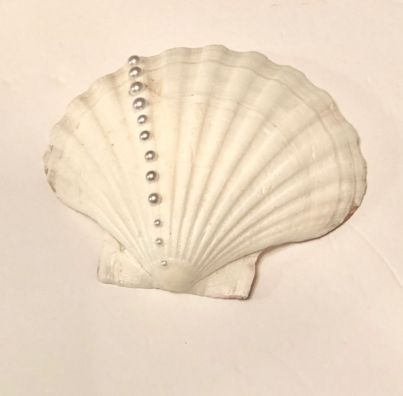 Large 5 5.5 Inch Scallop Shell Embellished With Pearls - Etsy