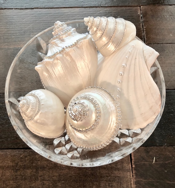 Embellished Pearl Finish Polished Trochus Shell Accented With | Etsy