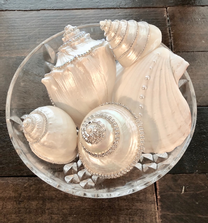 Embellished Pearl Finish Polished Trochus Shell Accented With | Etsy