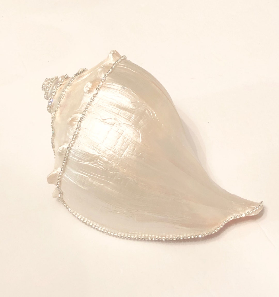 Large Rhinestone Embellished Shell Beautiful Atlantic Whelk - Etsy