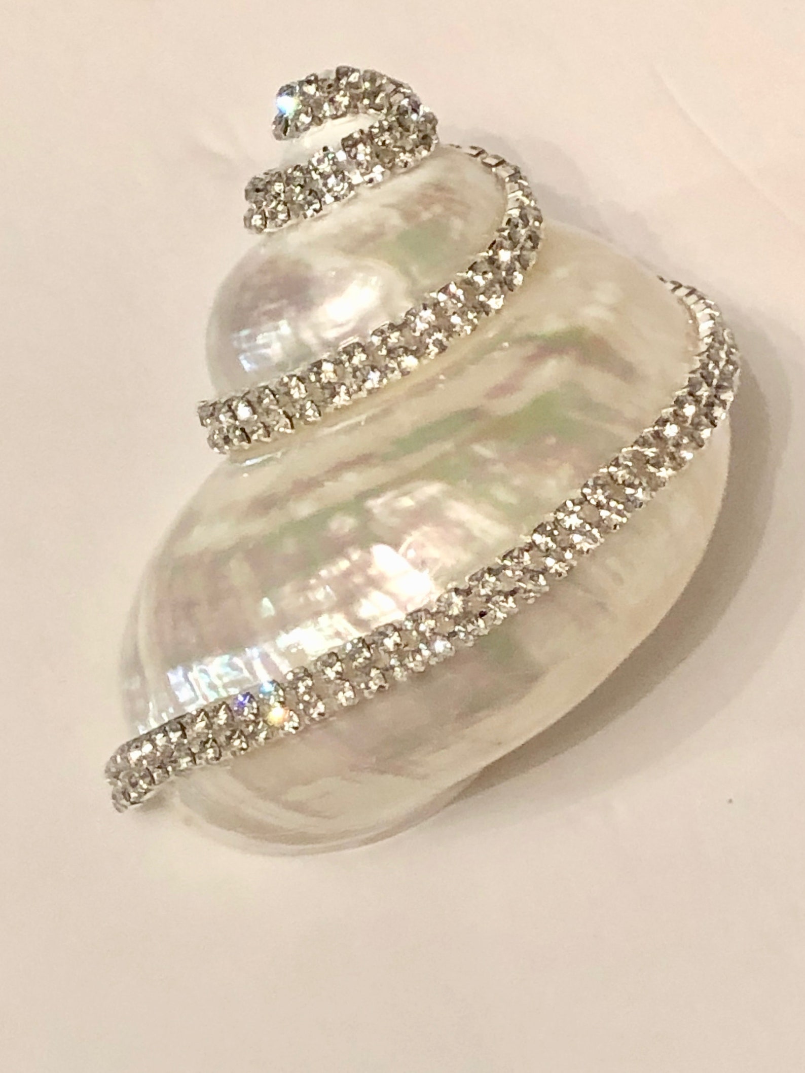Polished Turbo Shell Pearl Color Embellished With Rhinestone - Etsy