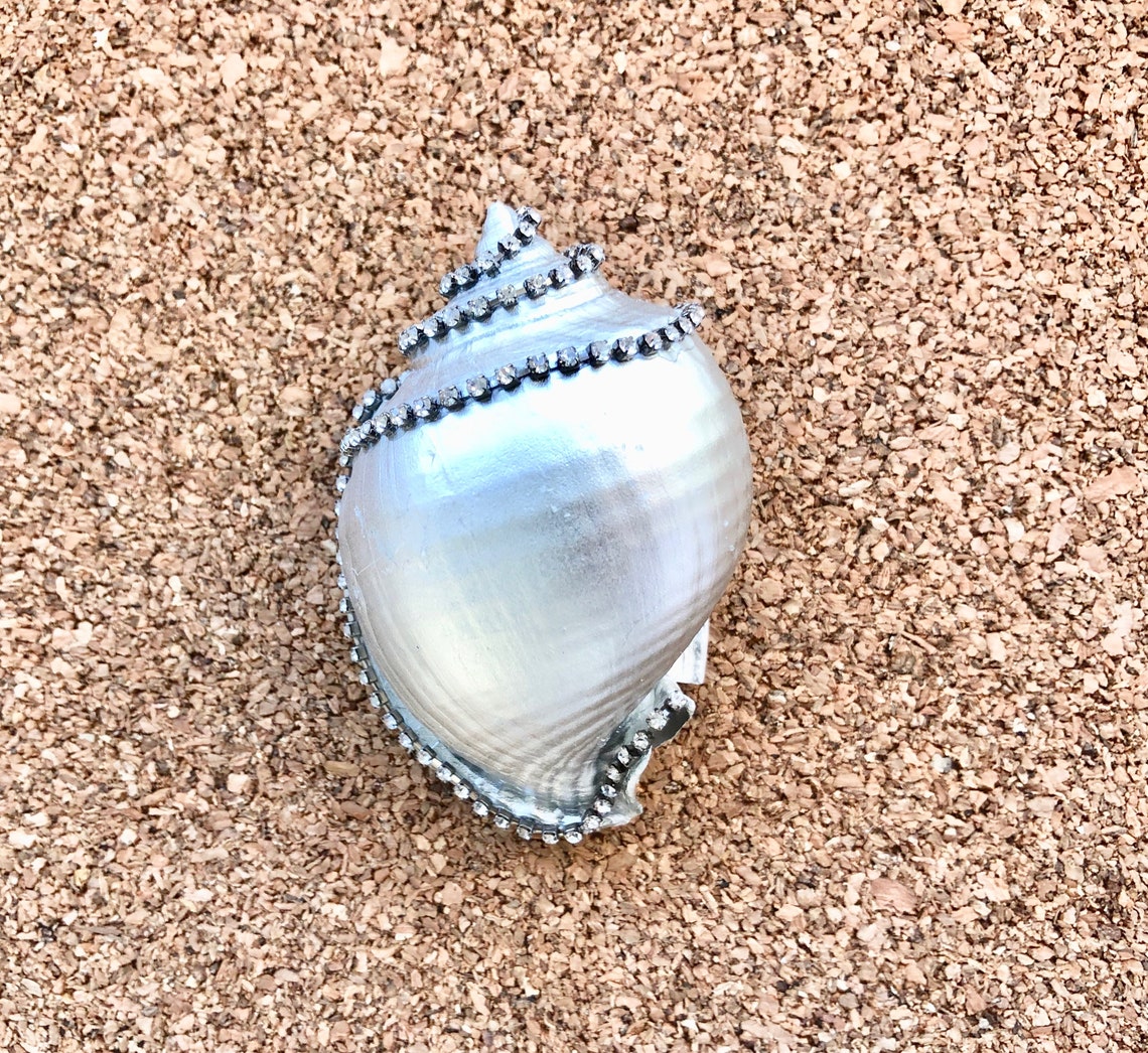 Embellished Shell Silver with Rhinestone Crystal Accents | Etsy