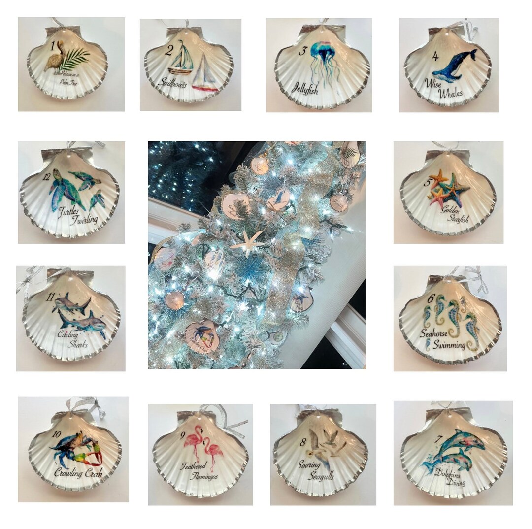 Set of 12 Large Scallop Shell Ornaments 12 Days of Christmas Coastal ...